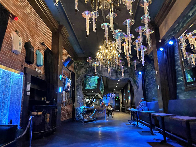 Welcome to the jellyfish's living room! These ethereal creatures aren't just decor - they're the world's most mesmerizing mood lighting.