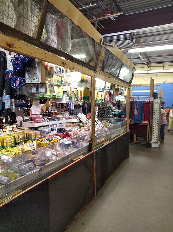 Step into a time capsule of curiosities! This interior shot reveals a cornucopia of knick-knacks, gadgets, and gizmos that would make even the most seasoned collector's heart skip a beat.
