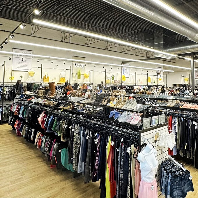 Treasure hunters, prepare yourselves! This aisle is longer than the list of excuses I've used to justify my shopping sprees.