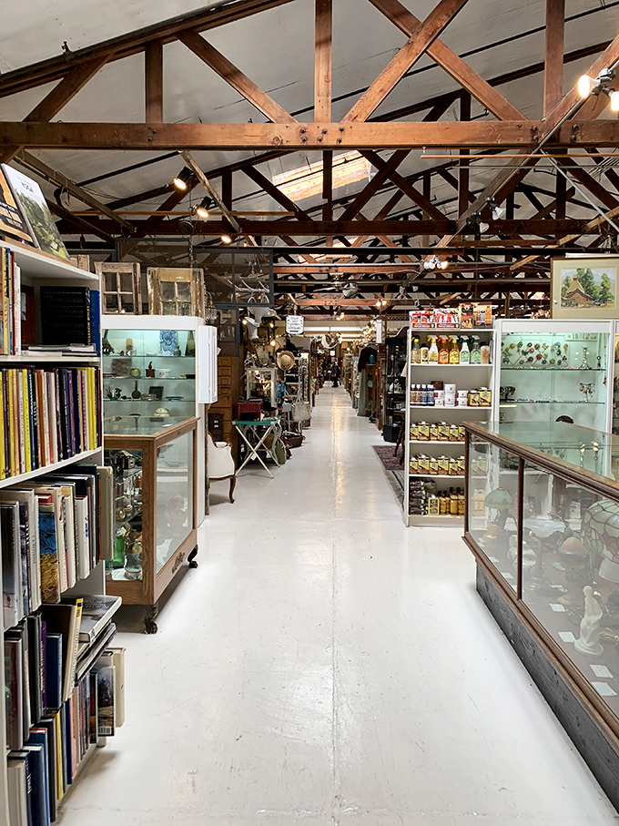 Step inside and prepare for a journey through time. These wooden beams have witnessed countless treasures finding new homes.