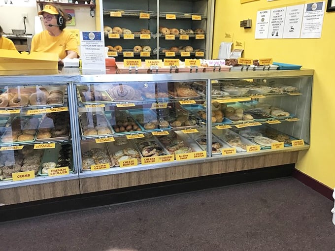 Donut nirvana awaits! This display case is like a treasure chest of circular joy, each shelf a new adventure in flavor.
