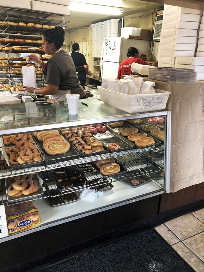 Donut nirvana awaits! This display case is the stuff of Homer Simpson's dreams, a glazed galaxy of circular delights.