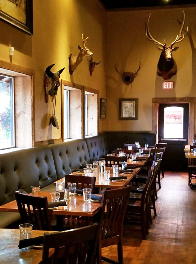 Step into a time machine of taste! This interior could make John Wayne feel right at home, with mounted trophies watching over your culinary adventure.