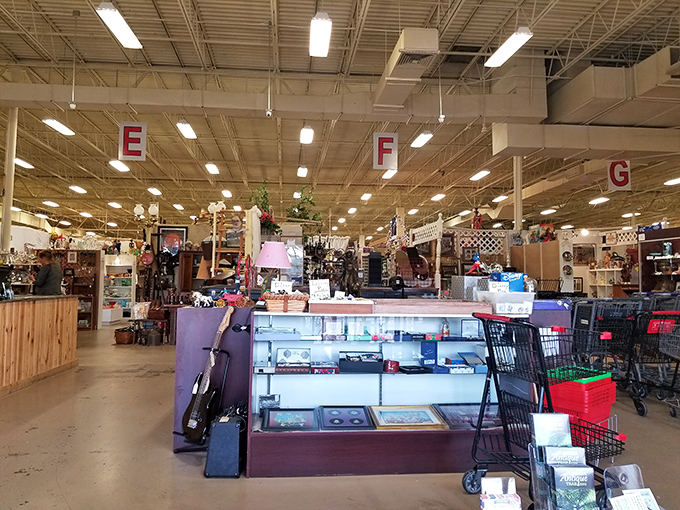 Step into organized chaos! This sprawling interior is where your inner collector meets your wallet's worst nightmare.