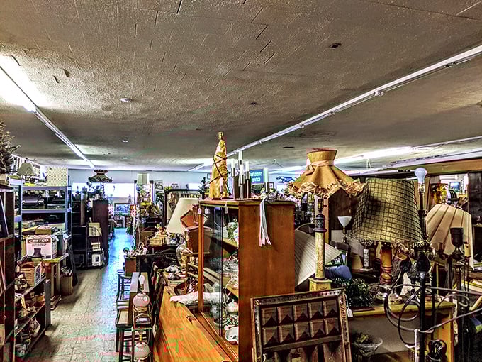 Indiana Jones, eat your heart out! This aisle is an adventure through time, with relics from every era vying for your attention.