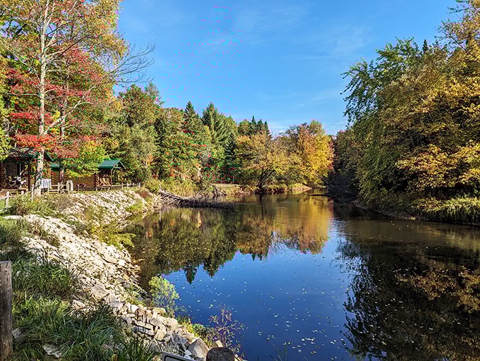 Mirror, mirror on the water... Autumn's paintbrush transforms this serene Michigan lake into a masterpiece that would make Bob Ross proud.