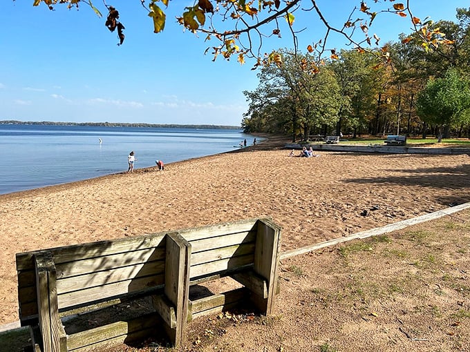 Nature's beach party! Golden sand meets crystal-clear water, with trees providing VIP seating for the ultimate lakeside spectacle.