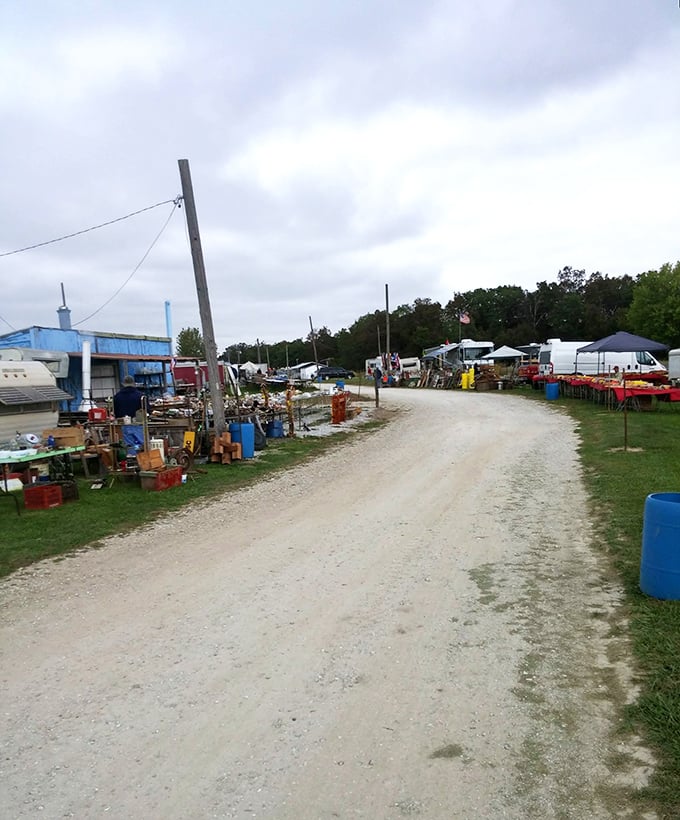 Down the rabbit hole we go! This winding path leads to a wonderland of weird and wonderful finds. Alice would be jealous of this adventure.