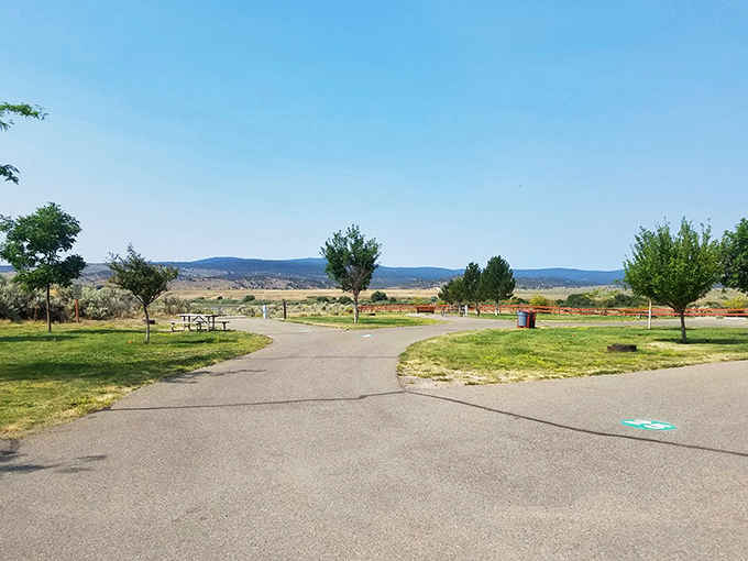 Welcome to the yellow brick road of Unity Lake! This path leads to adventures, not Oz, but just as magical.
