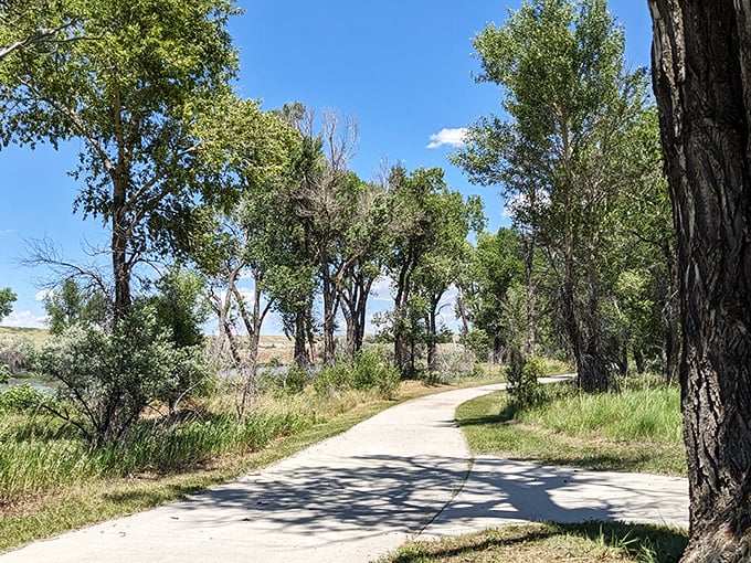 "Smooth sailing ahead! This paved trail is so inviting, even the trees can't resist leaning in for a closer look."