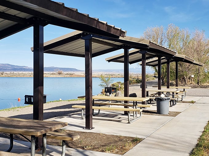 Picnic perfection: These shelters are the Rolls-Royce of outdoor dining. Who needs a 5-star restaurant when you've got million-star views and a gourmet PB&J?