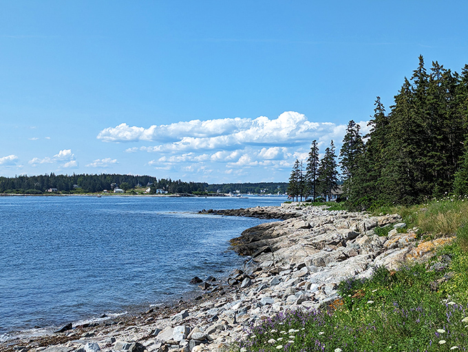 Nature's rocky canvas: The rugged Maine coastline unfolds, a masterpiece of blue waters, evergreen forests, and granite shores.