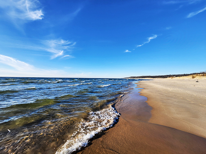 Surf's up, Midwest style! Lake Michigan's waves give California a run for its money, minus the shark worries.