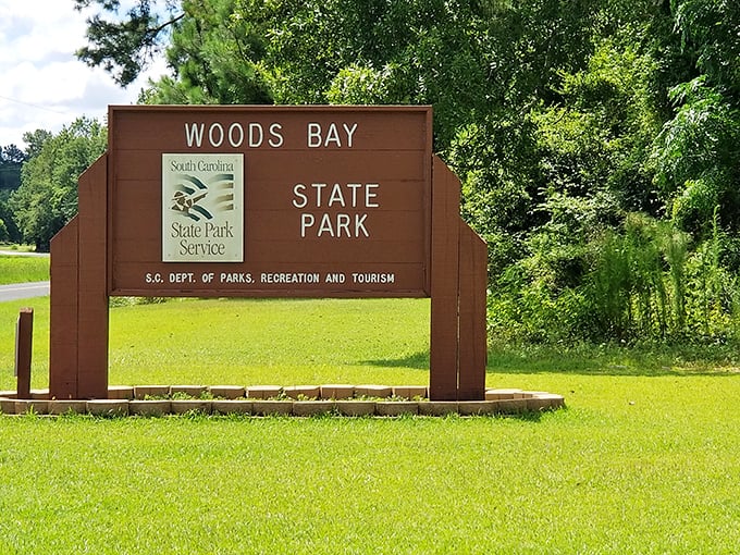 Welcome to Woods Bay, where even the sign looks like it's been here since the Jurassic era. Spoiler alert: No dinosaurs, just pure natural wonder.