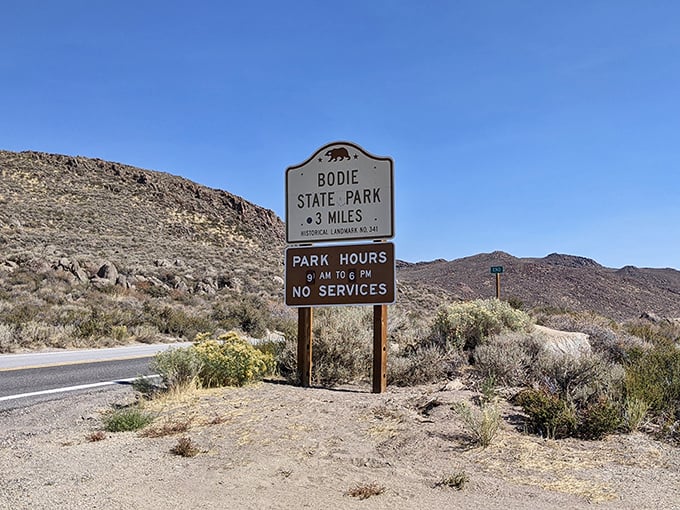 "No services? No problem!" This sign promises an authentic ghost town experience, where modern conveniences take a backseat to history.