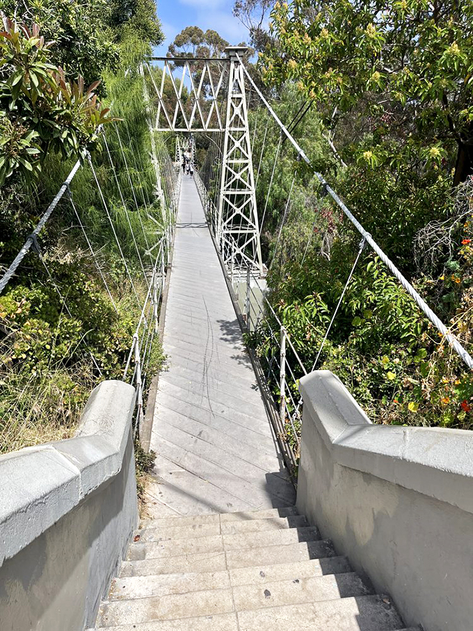 Stairway to heaven? More like stairway to adventure! These steps are your gateway to San Diego's most exhilarating pedestrian experience.