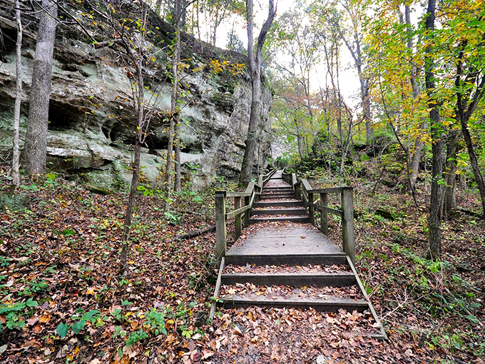 Nature's stairmaster awaits! This picturesque trail through Makanda's rocky terrain offers a workout with a view. Just don't forget to pause and enjoy the scenery between huffs and puffs.
