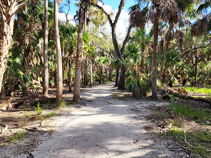 Who needs a yellow brick road when you've got this enchanting trail? Follow it to discover Florida's hidden emerald city.
