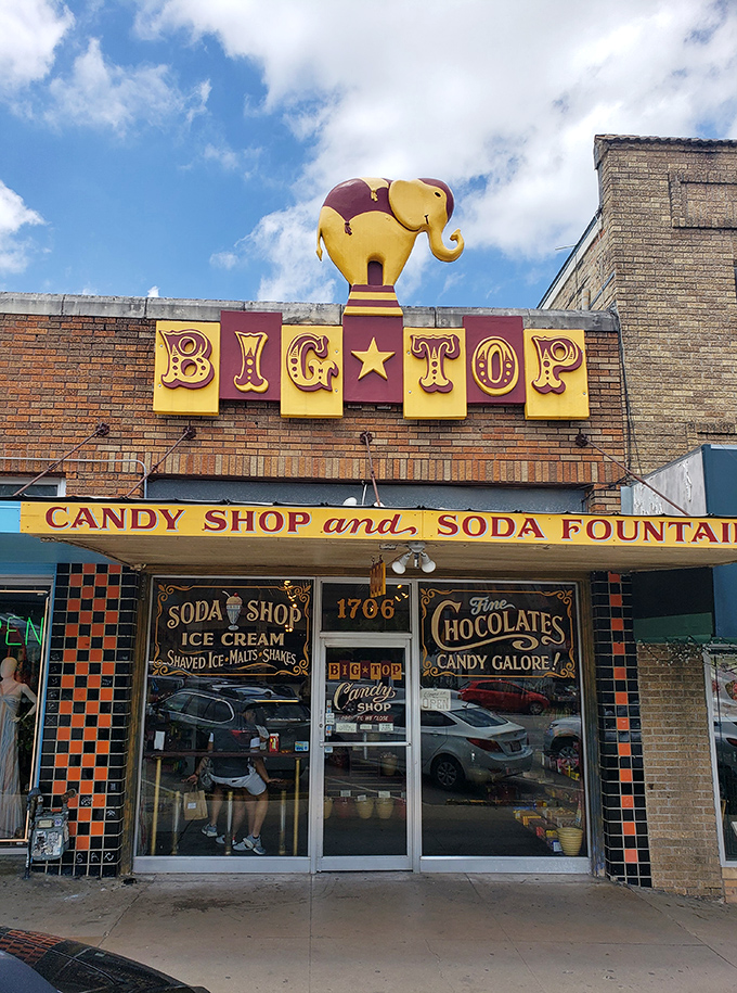 Big Top Candy Shop: Where circus dreams and sugar cravings collide in a spectacular carnival of confectionery delights.