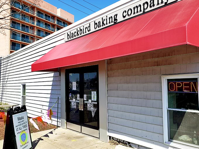 Blackbird Baking Company: Where bread becomes art and calories don't count. It's the Louvre of loaves, minus the long lines and confusing French.