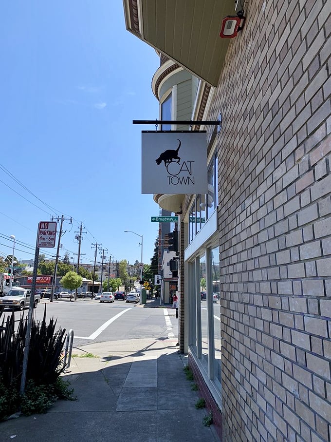 Cat Town Cafe: Where Oakland's felines are living their best nine lives. It's like a cat's version of Silicon Valley, but with more naps.