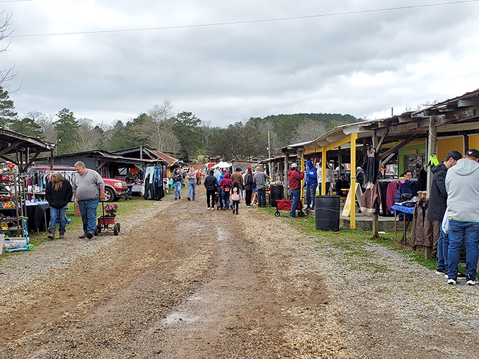 Collinsville Trade Day: Where bargain hunters and social butterflies unite! It's like a block party, but the block is several acres large.