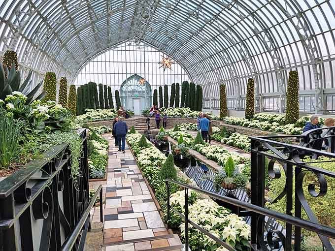 Step into a tropical oasis at Como Park Conservatory. It's like a vacation for your senses, minus the jet lag and overpriced airport food.