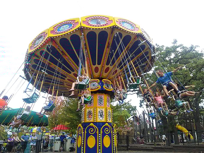 "Whirling dervishes, eat your heart out! This kaleidoscope of joy spins faster than gossip at a church potluck."