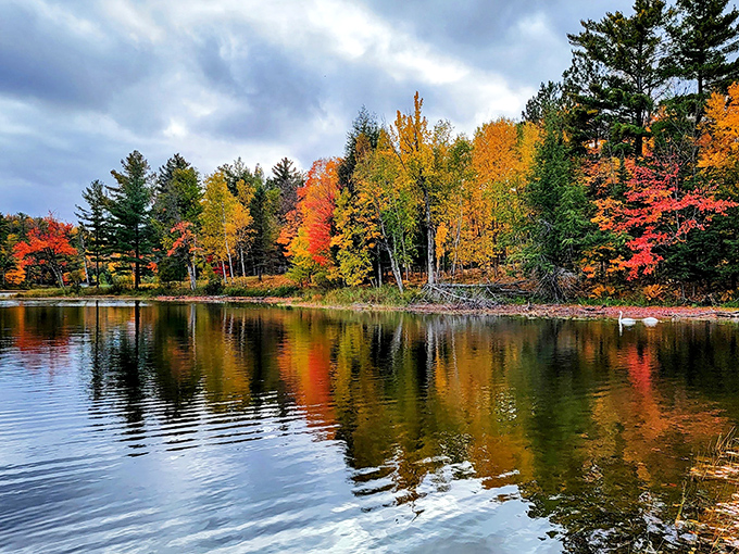 Copper Falls: Nature's own watercolor masterpiece. Autumn transforms this cascade into a living, breathing work of art.