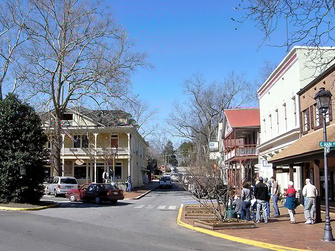 Dahlonega's spring blossoms: Nature's confetti celebration! Even the trees here know how to throw a party.