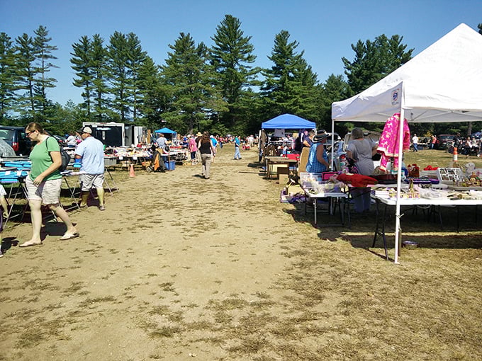 Davisville's flea market: Where pine trees watch over deal-seekers like nature's own bargain guardians. Breathe in that fresh air of savings!