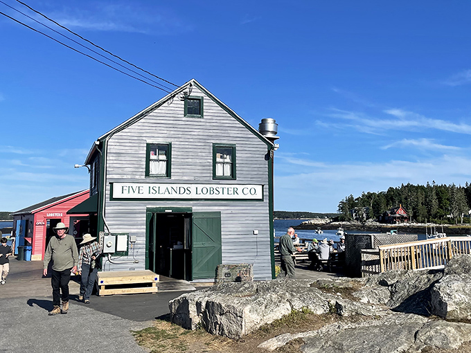 Five Islands Lobster Co.'s weathered gray building stands sentinel over the harbor, promising seafood treasures fresh from Maine's waters.