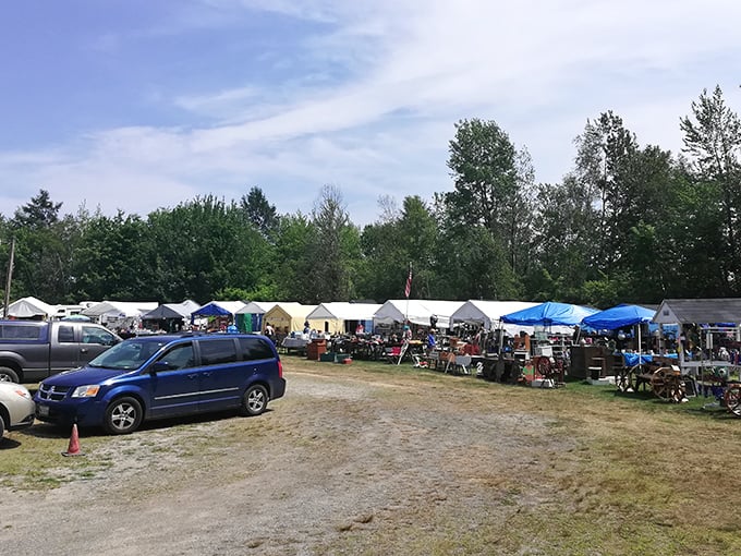 Tent city of trinkets! This outdoor extravaganza is where bargain hunters and treasure seekers unite under the Maine sky.