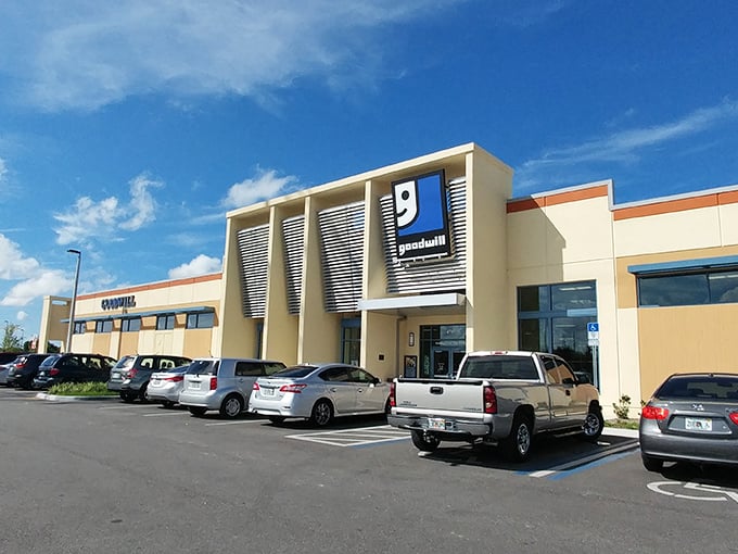 Goodwill Goldenrod: Where 'pre-loved' meets 'post-awesome'. It's like a garage sale threw a party and everyone's invited!