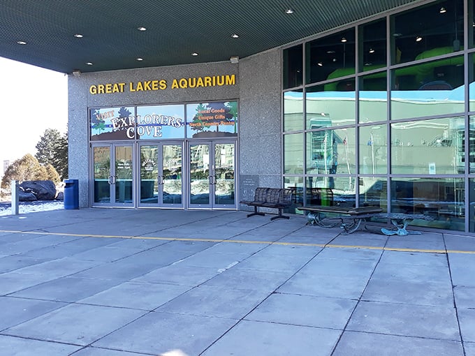 Dive into adventure at the Great Lakes Aquarium! It's like Finding Nemo meets Fargo, with a splash of Midwestern charm.