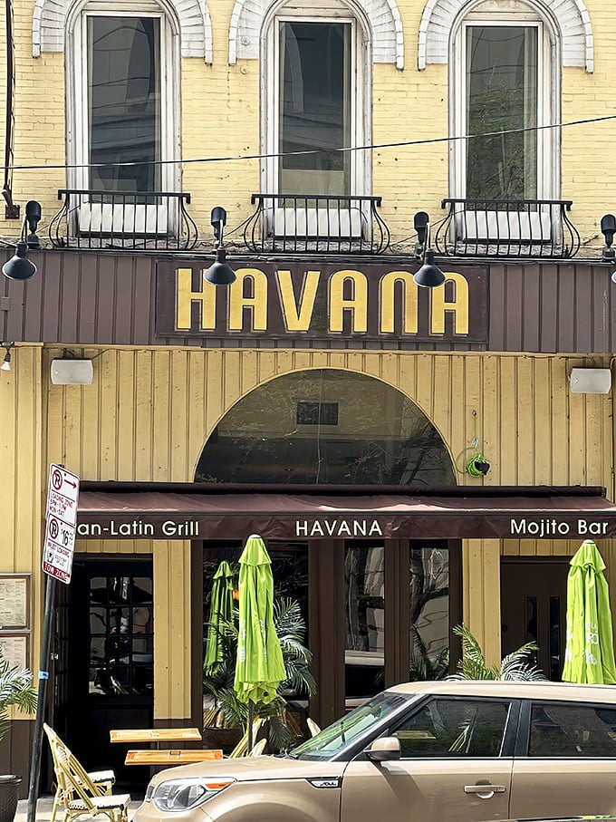 Havana Grill: Where mojitos flow like poetry and the ropa vieja is so good, you'll forget about deep-dish pizza (temporarily).