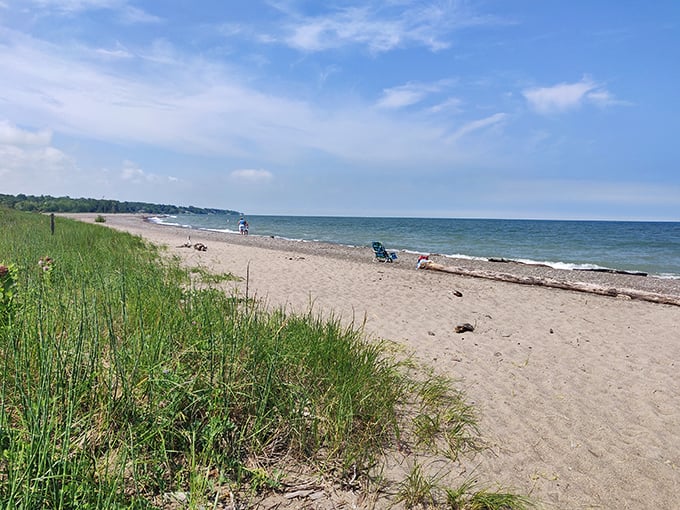 Headlands Beach: Where the sand stretches further than your vacation days. Time to practice that "working remotely" excuse!