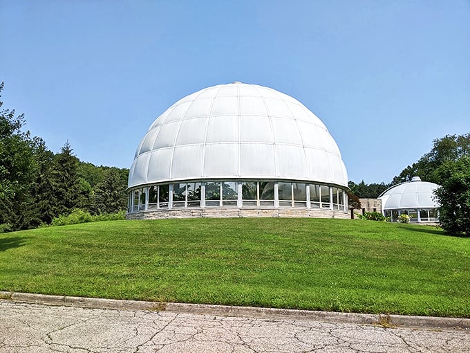 Beam me up, Scotty! This futuristic dome at Hidden Lake Gardens houses more exotic plants than a sci-fi jungle planet.
