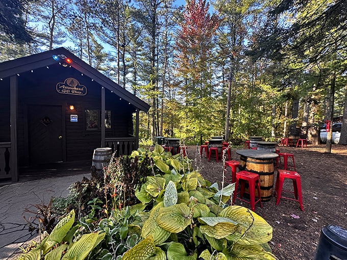 Welcome to Ishnala, where 'dinner with a view' is an understatement. It's like Mother Nature decided to open a five-star restaurant!