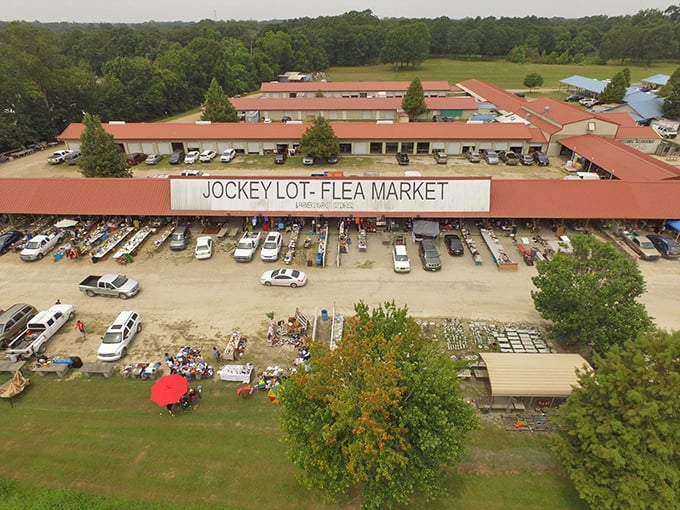 The Lafayette Jockey Lot: Where your next conversation piece is just a bargain away!