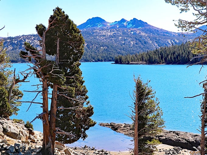 Lake Tahoe: Where the water's so clear, you can see your future... or at least your toes!