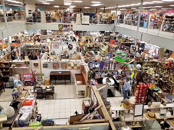 Treasure hunter's paradise! Lexington Peddlers Mall is a labyrinth of nostalgia where every turn reveals another potential "I can't believe I found this!" moment.