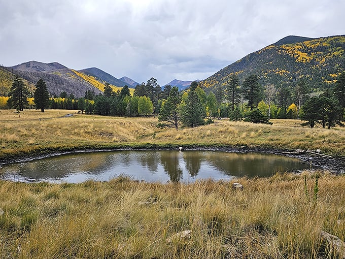 Lockett Meadow: Where fall foliage goes to show off. These aspens put on a golden spectacle that'd make Midas jealous.