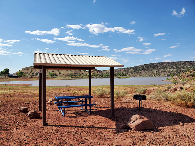 Lyman Lake: Where desert meets water in a plot twist worthy of M. Night Shyamalan. Cactus-lined shores lead to refreshing blue waters.