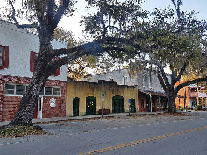 Micanopy: Time-travel alert! Stroll down Cholokka Boulevard and feel the charm of yesteryear. Doc Hollywood, your patient is waiting.