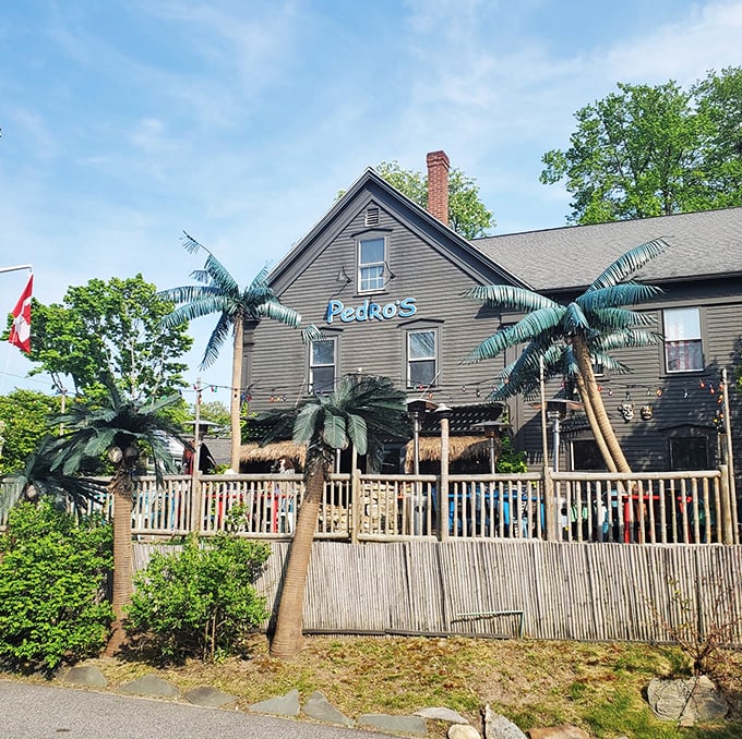 Pedro's: New England charm meets Mexican spice! This weathered beauty looks like it sailed straight from Cabo to Kennebunk.