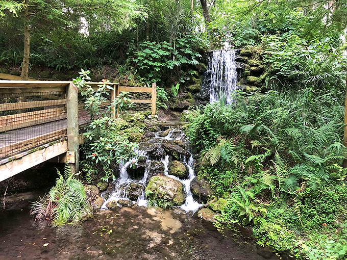 Who needs a spa day? This tranquil cascade is nature's own stress-relief system, minus the cucumber slices and fluffy robes.