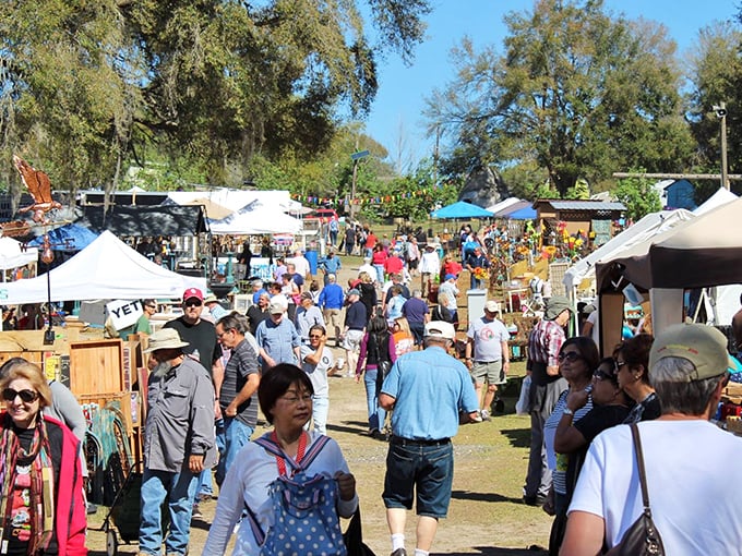 Renninger's Flea Market: Where Florida's oak trees provide shade for a sea of tents and treasures. It's like a garage sale threw a block party!