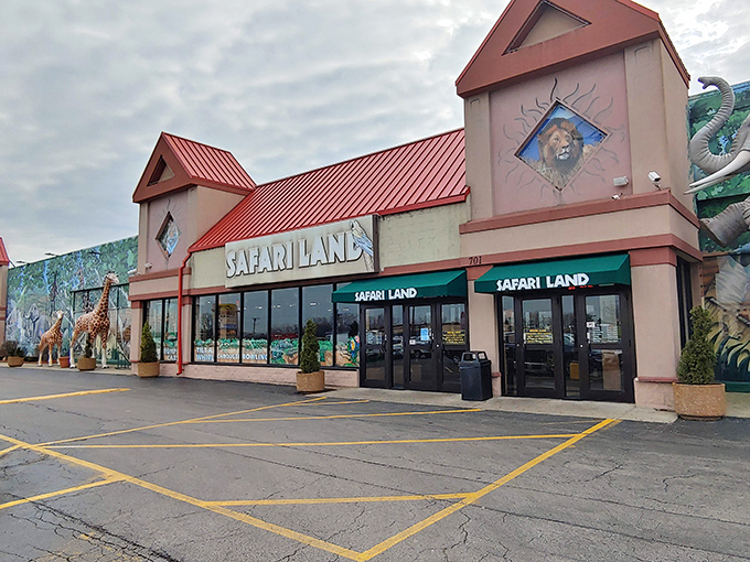 "Jungle fever meets suburban adventure! Safari Land's exterior roars with excitement, promising wild times without the need for malaria pills."