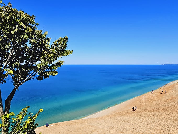 Sleeping Bear Dunes: Where the Sahara meets the Caribbean! These towering dunes offer a workout with a view that's worth every sandy step.